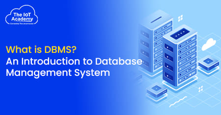 What is DBMS? — An Introduction to Database Management System | The IoT ...